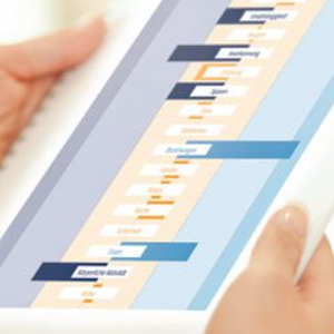Reiss-Profile - Persönlichkeitstest - Motivation Test